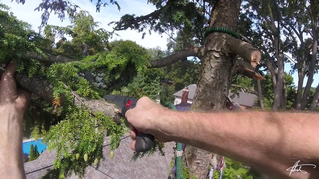 Real Tree Work Vol. 3: Tight Quarters