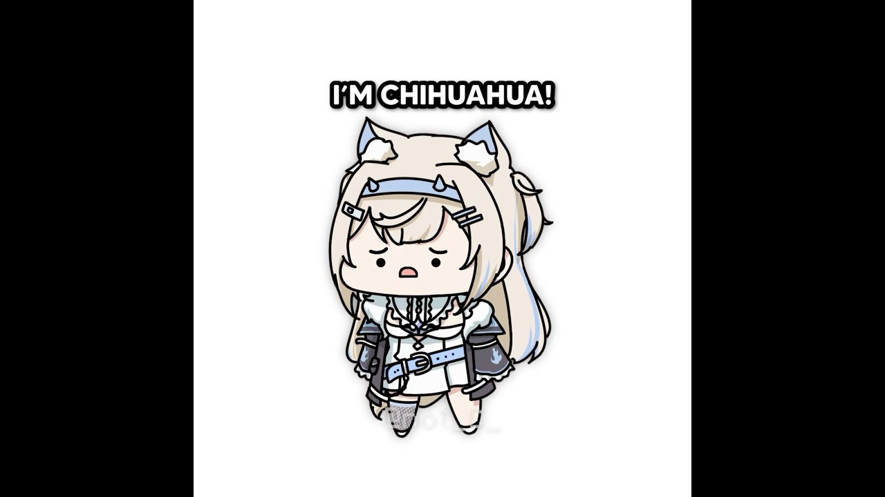fuwawa the chihuahua
