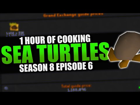 Cooking Sea Turtles | Testing OSRS Wiki Money Making Methods | Money Making Guide 2023