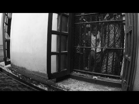 In a state of Doubt (2018) - Documentary on Assam NRC