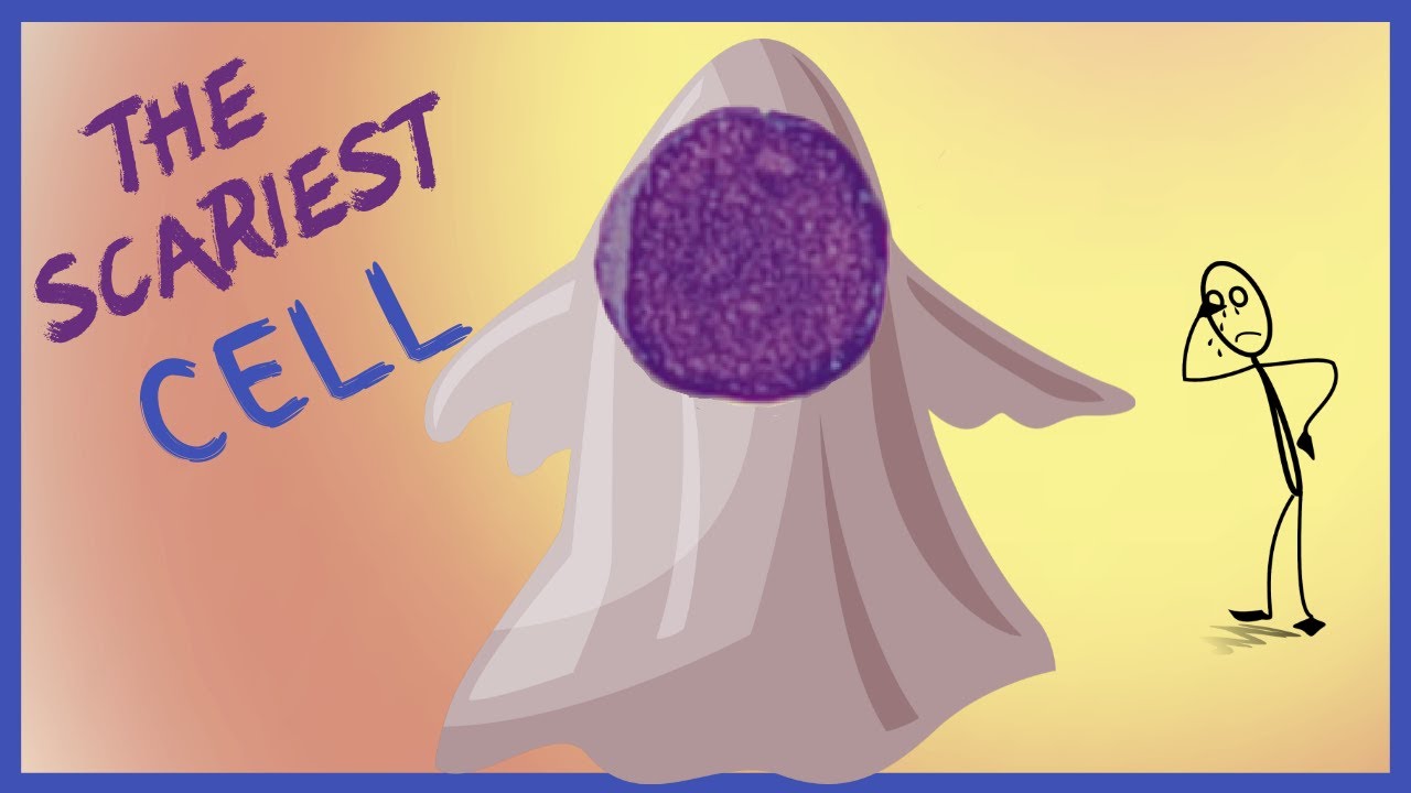 Understanding Blast Cells | Heme Ed