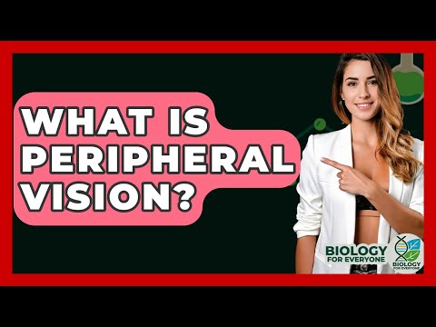 What Is Peripheral Vision? - Biology For Everyone