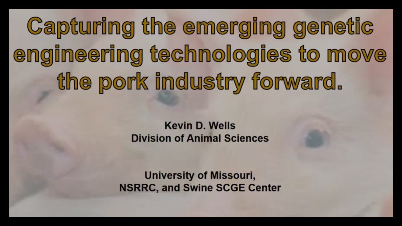 Emerging genetic engineering technologies - Kevin Wells - Iowa Swine Day 2019