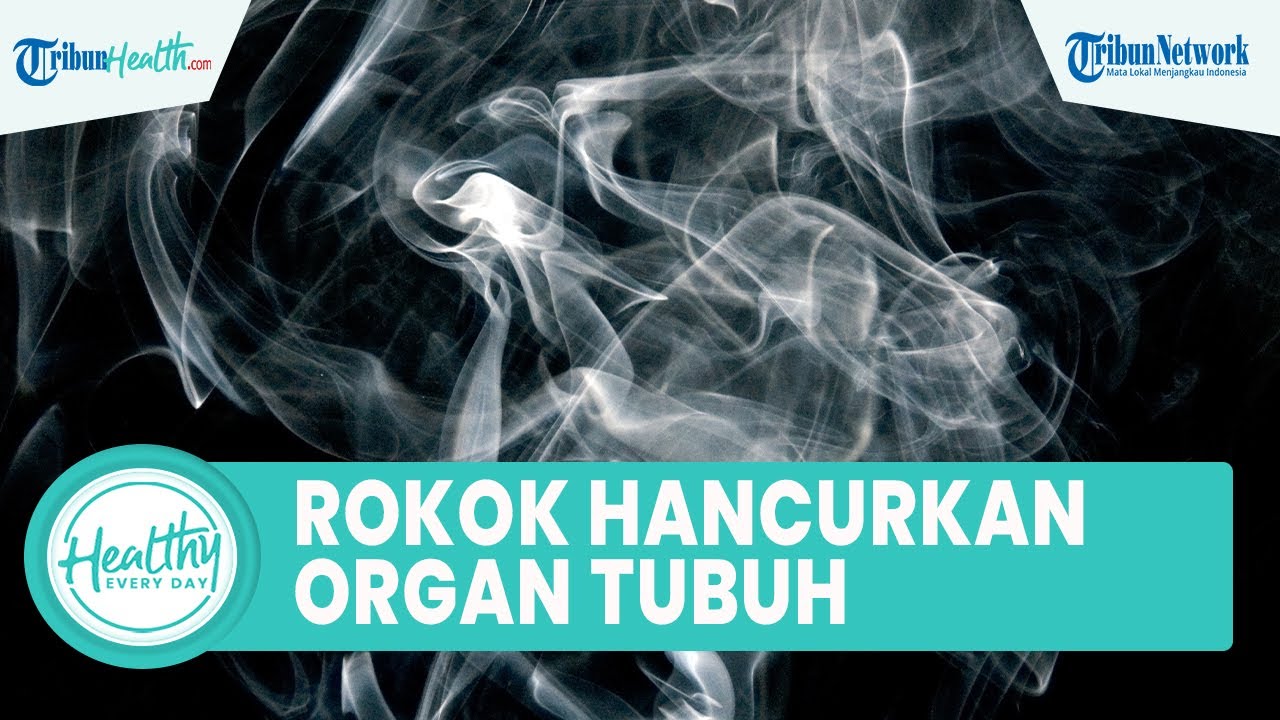Dampak Buruk Merokok Bisa Menghancurkan Organ Tubuh: Komplikasi Sistem ...