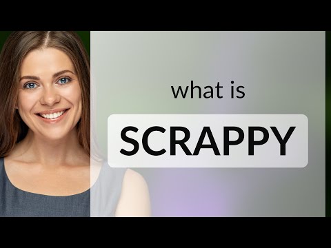 Scrappy | meaning of SCRAPPY