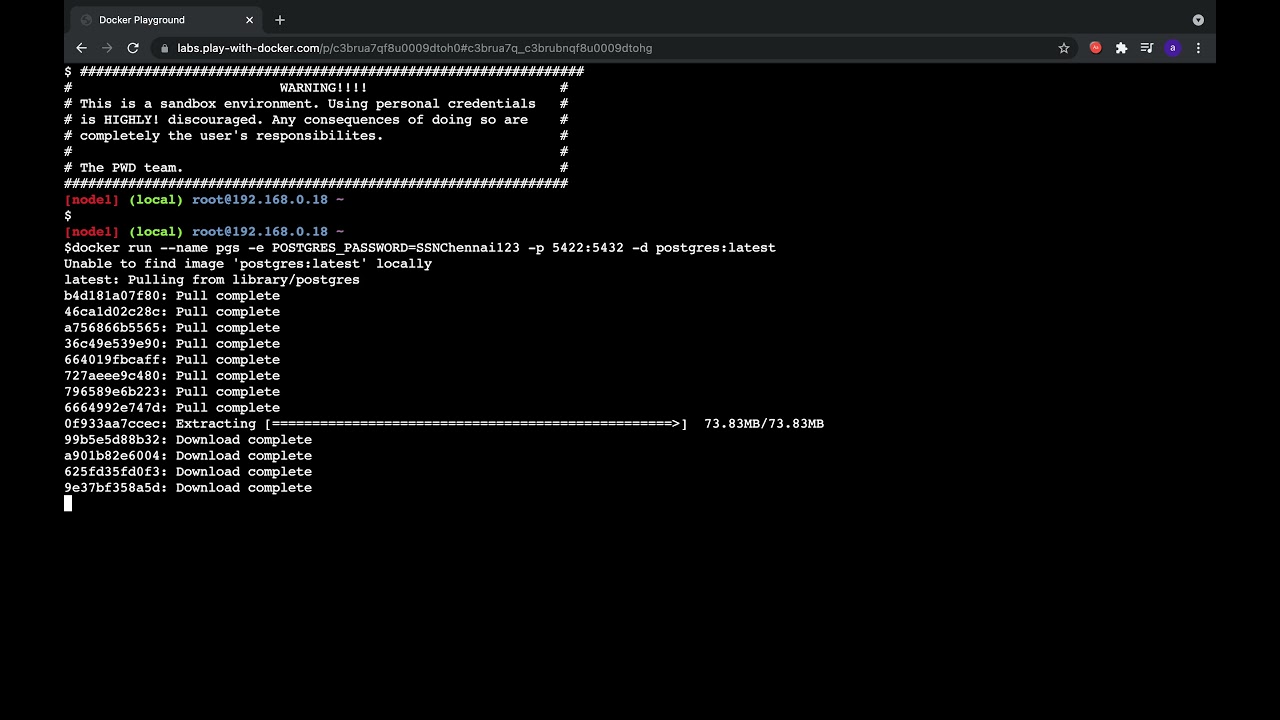 Postgres setup using Docker Playground