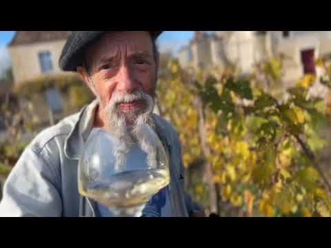 Baron de T in Ilja's privé wijnkelder
