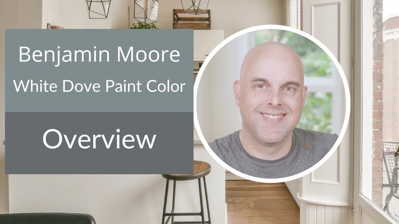 BM White Dove Paint Color Overview