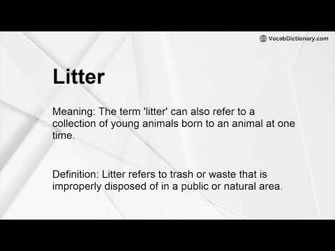 Litter Meaning
