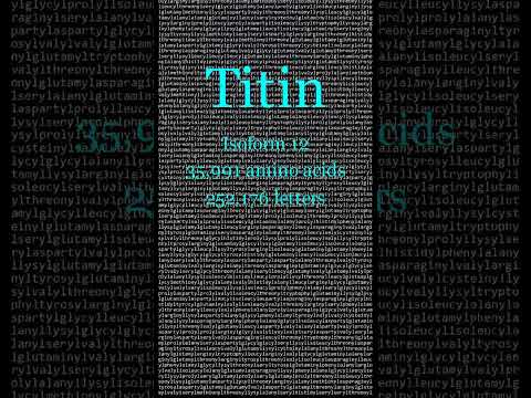 Long Words Bonus #2: Titin | Science Meets Fiction