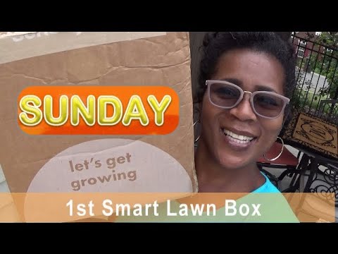 Sunday Lawn Care Unboxing | Soil Test | 1st Application| Video #1