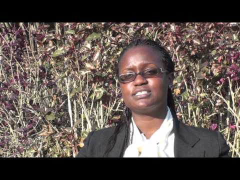 Improving Livestock Productivity in Kenya with Bridgit Muasa