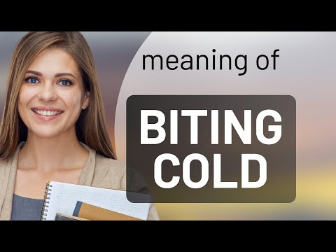 Unveiling the Meaning of "Biting Cold": An English Phrase Explained