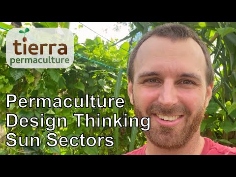 Permaculture Design Thinking: Sun Sectors | Tropical Permaculture Homestead