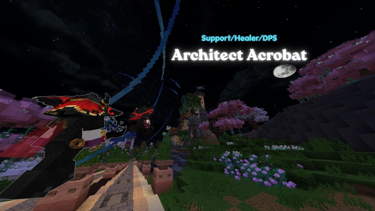 World's First Support/Healer/DPS Acrobat: Architect