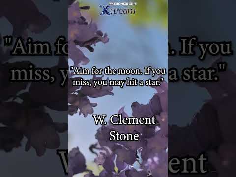 W. Clemet Stone Motivational Quotes - #motivational #quotes