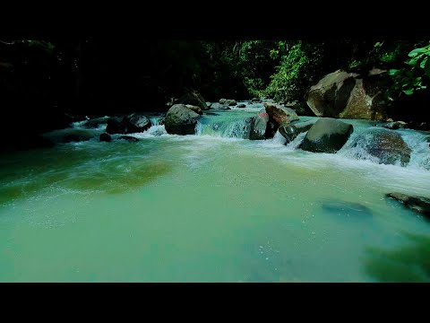 Pure Serenity & Quietude Flow: Spring Water's Calm & Soft River