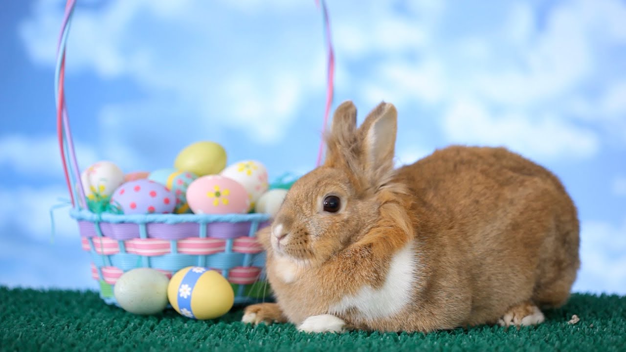 Did You Know: Easter | Encyclopaedia Britannica
