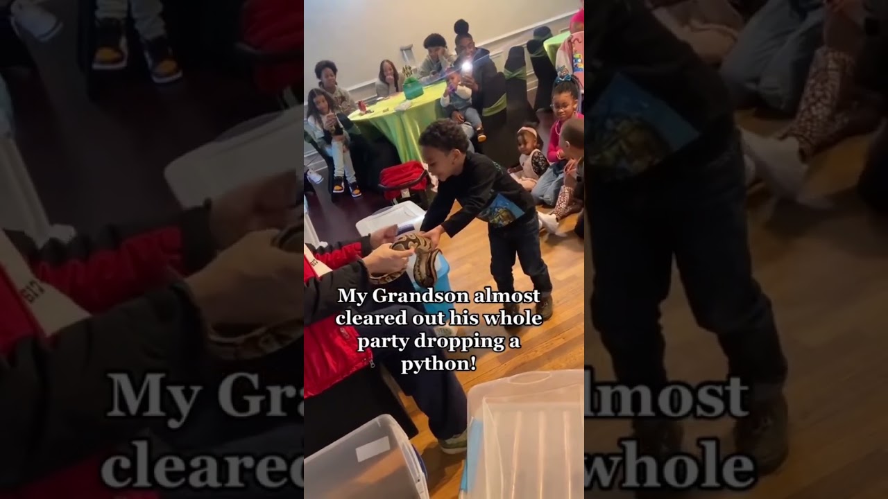 Kid drops python at party