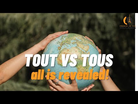 Tout vs tous in French- All is revealed!