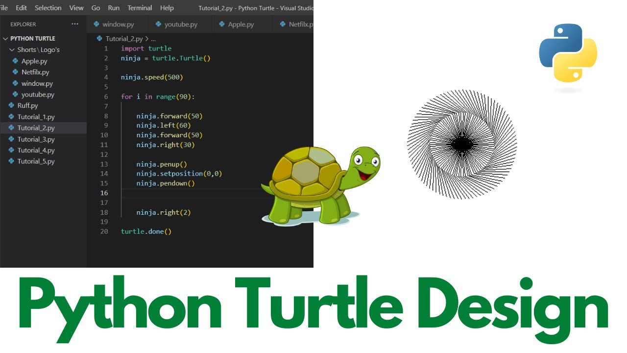 Python Programing Tutorial || Python GUI || Python Turtle Tutorial #002