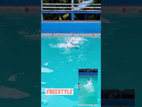 4 types of swimming strokes
