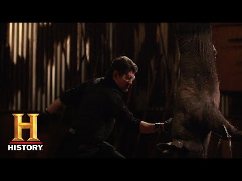 Forged in Fire: Boateng Saber SLASHES the Final Round (Season 7) | History