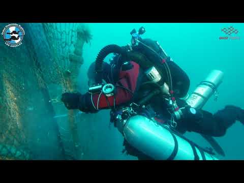 Infidel tech dives and net recovery - 2012 2015 summary