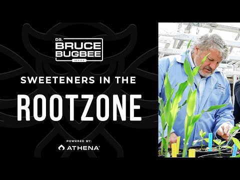 Bruce Bugbee Series – Sweeteners in the Root Zone