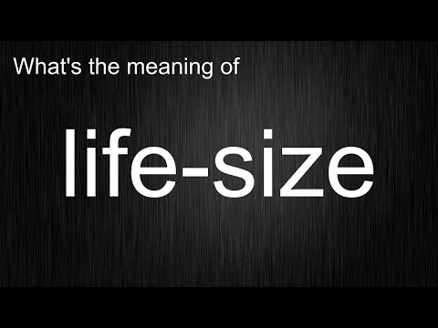What Does "life-size" Mean and How Do You Pronounce It?