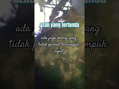 istidraj#storywaislami #storywahariini #katakatabijak