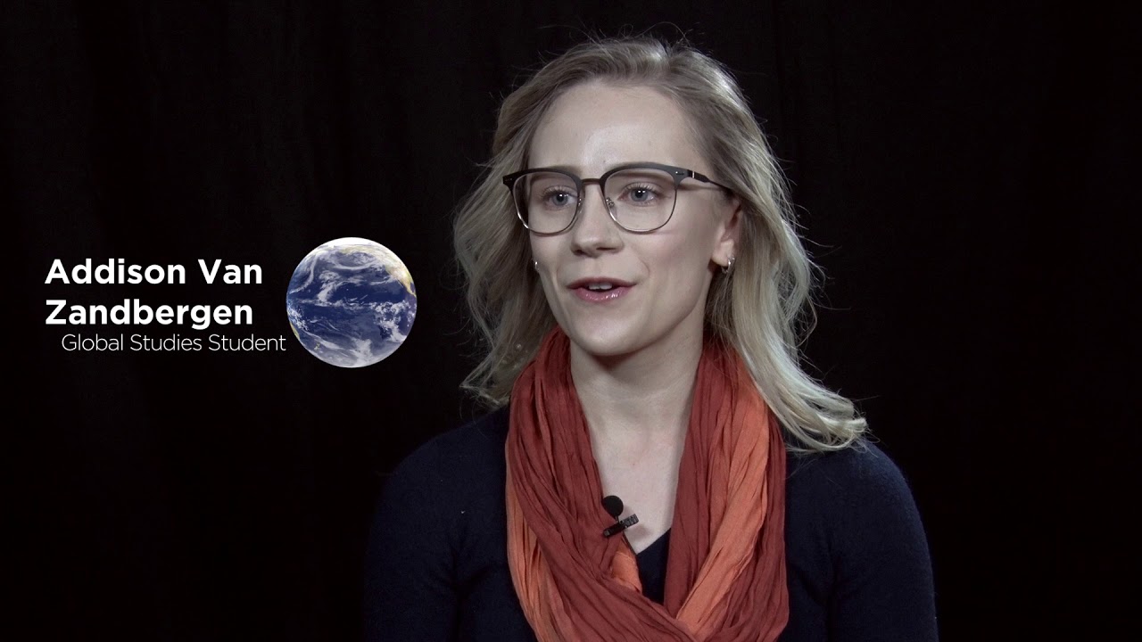 What is Global Studies?