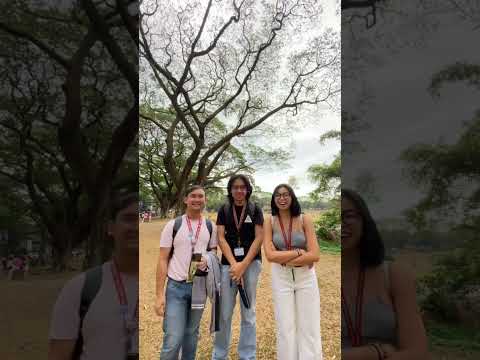 Asking UP Diliman Students About Why They Chose Their Course | CANDY STUDENT SURVEYS