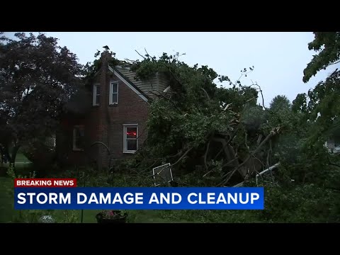 Severe storms bring down trees, leaving thousands without power across Philadelphia region