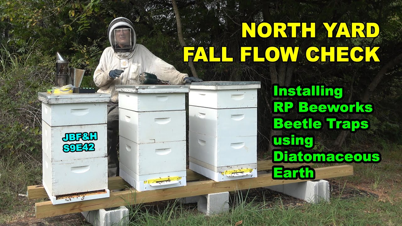 North Yard Fall Flow Check & RP Beeworks Beetle Trap Installs #beekeeping