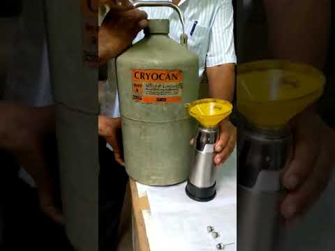 dermatology cryo using liquid nitrogen