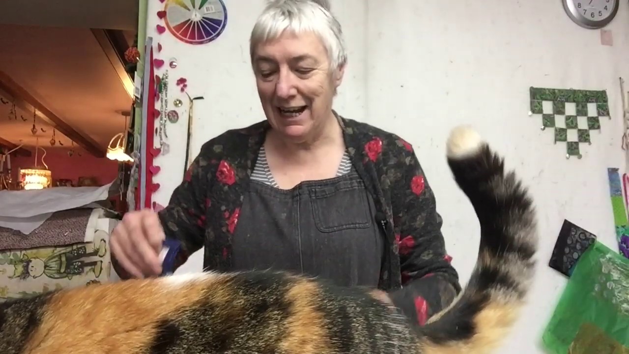 Patchwork dog part three