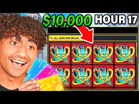 $1 Vs $100,000 Blox Fruits Account For 24 Hours..