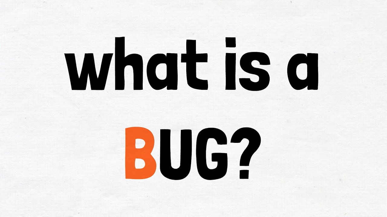What is a Software Bug?