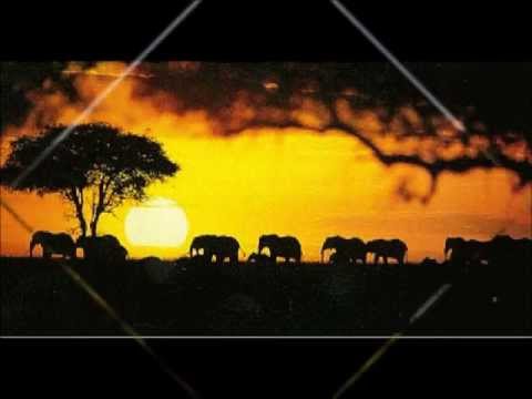 Tropical Grasslands (APES MS. LECH)