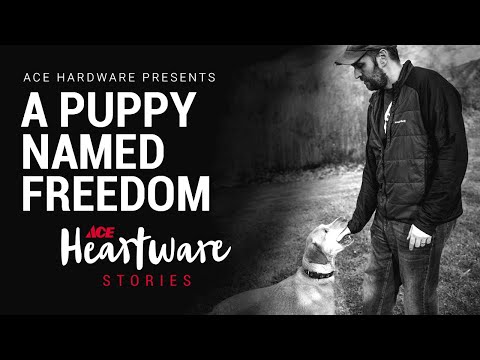 A Puppy Named Freedom - Ace Heartware Stories