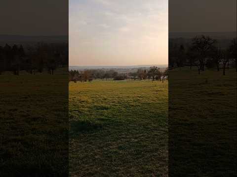 Bei Ostfildern-Nellingen nördlich Schulzentrum nahe Zollberg/Wald