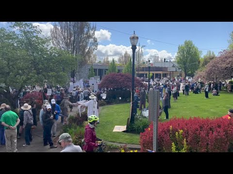 Anti-Trump protesters turn out in Corvallis