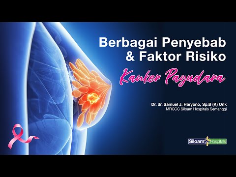 Berbagai Penyebab & Faktor Risiko Kanker Payudara