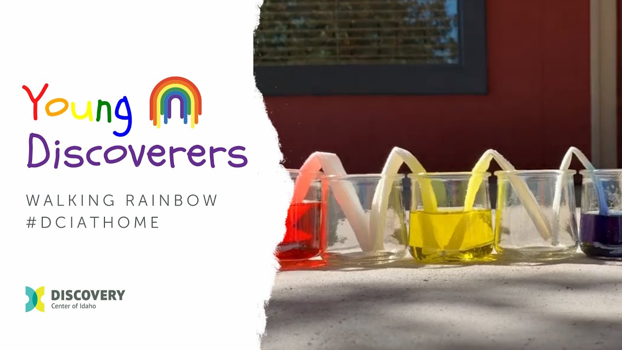 Young Discoverers: Walking Rainbow