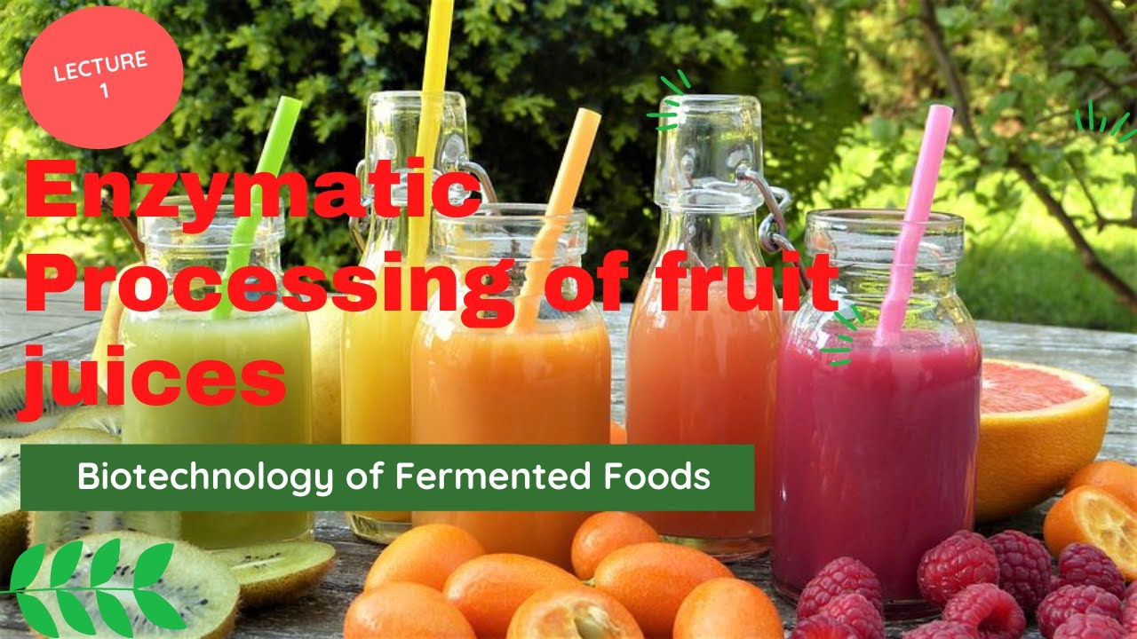Use of Enzymes in Fruit Juice Processing Part I
