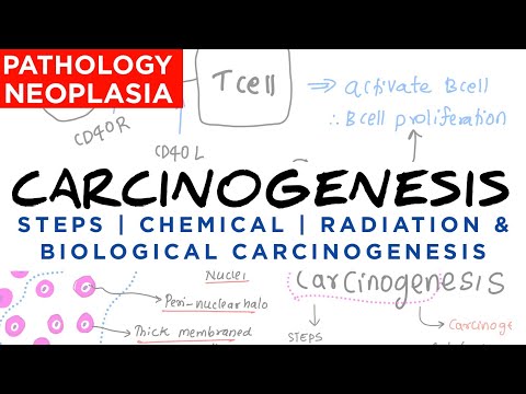 Carcinogens & carcinogenesis | Basics | chemical | Radiological | Biological Carcinogens