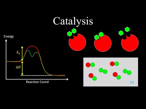 Catalysts, Enzyme Catalysis, Acid-Base Catalysis, Surface - Chemistry