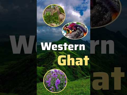 Unique Species Found Only in the Western Ghats | Neelkurunji Flower #shorts #biodiversity