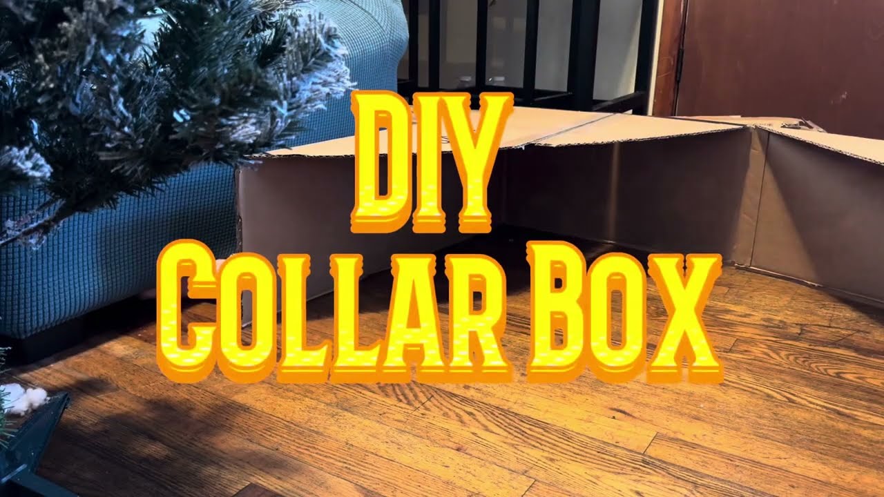 Let’s decorate the Christmas tree 🌲| DIY Collar Box